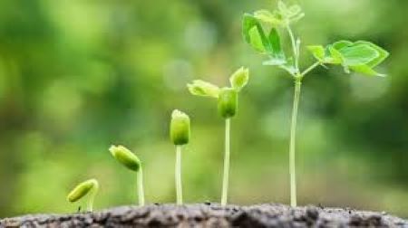 HOW TO THRIVE - Leaning Forward With Joy